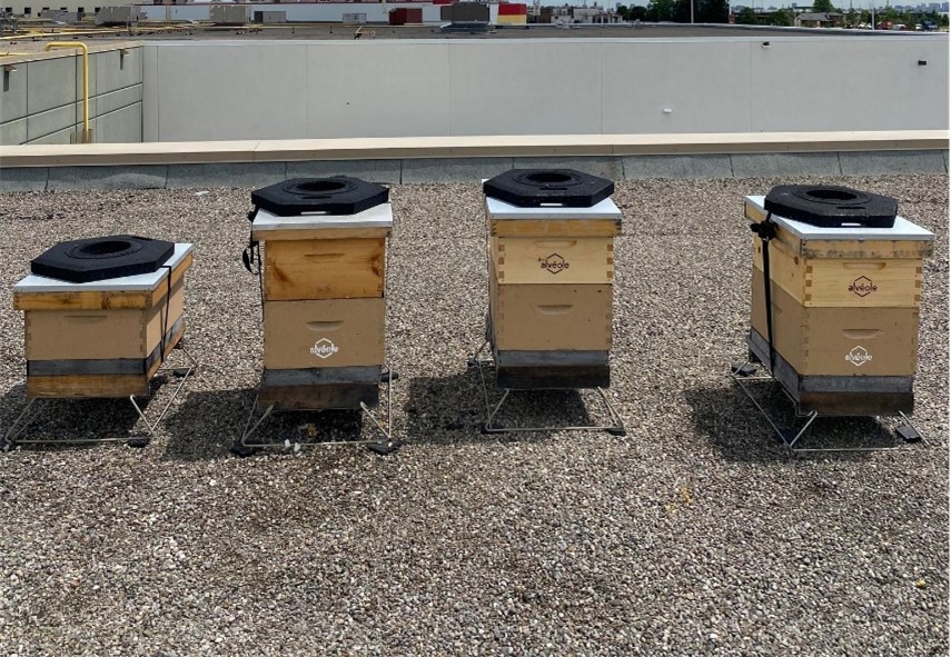 Sustainability | Vaughan Mills